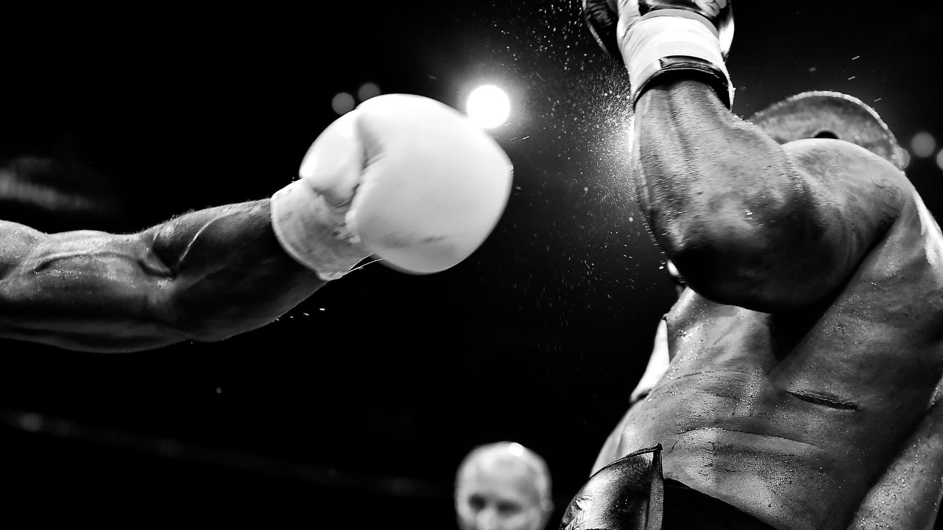 Bars Showing Dmitry Bivol Events 🥊 - FANZO